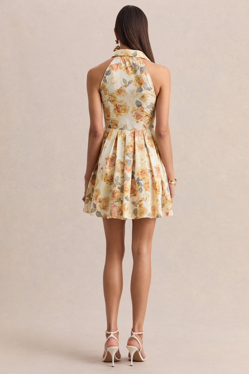 Paulie Lemon Rose Print Poplin Skater Mini Dress – Club L London - USA